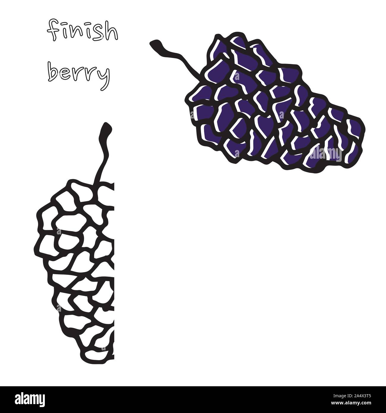 Berry color hand drawn vector set. Fruit botany illustration. Berries ...