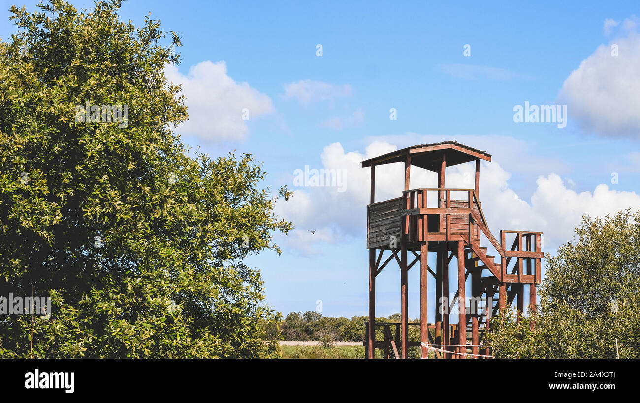Scouts lookout hi-res stock photography and images - Alamy