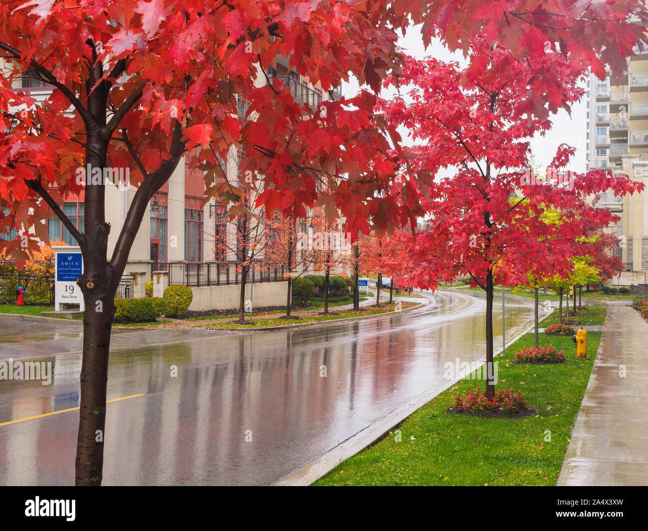 Wet sidewalk hi-res stock photography and images - Alamy