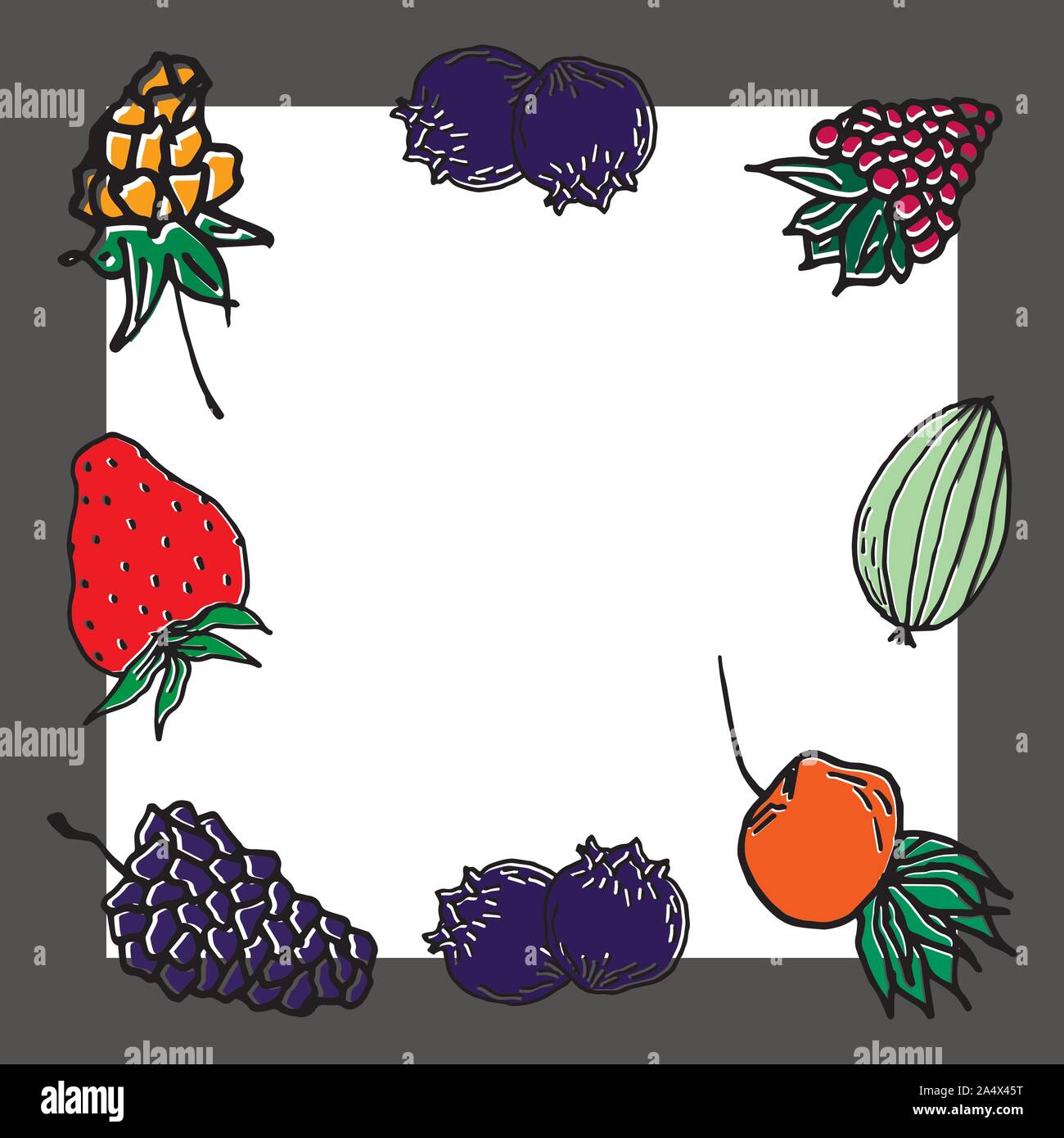 Berry color hand drawn vector set. Fruit botany illustration. Berries ...