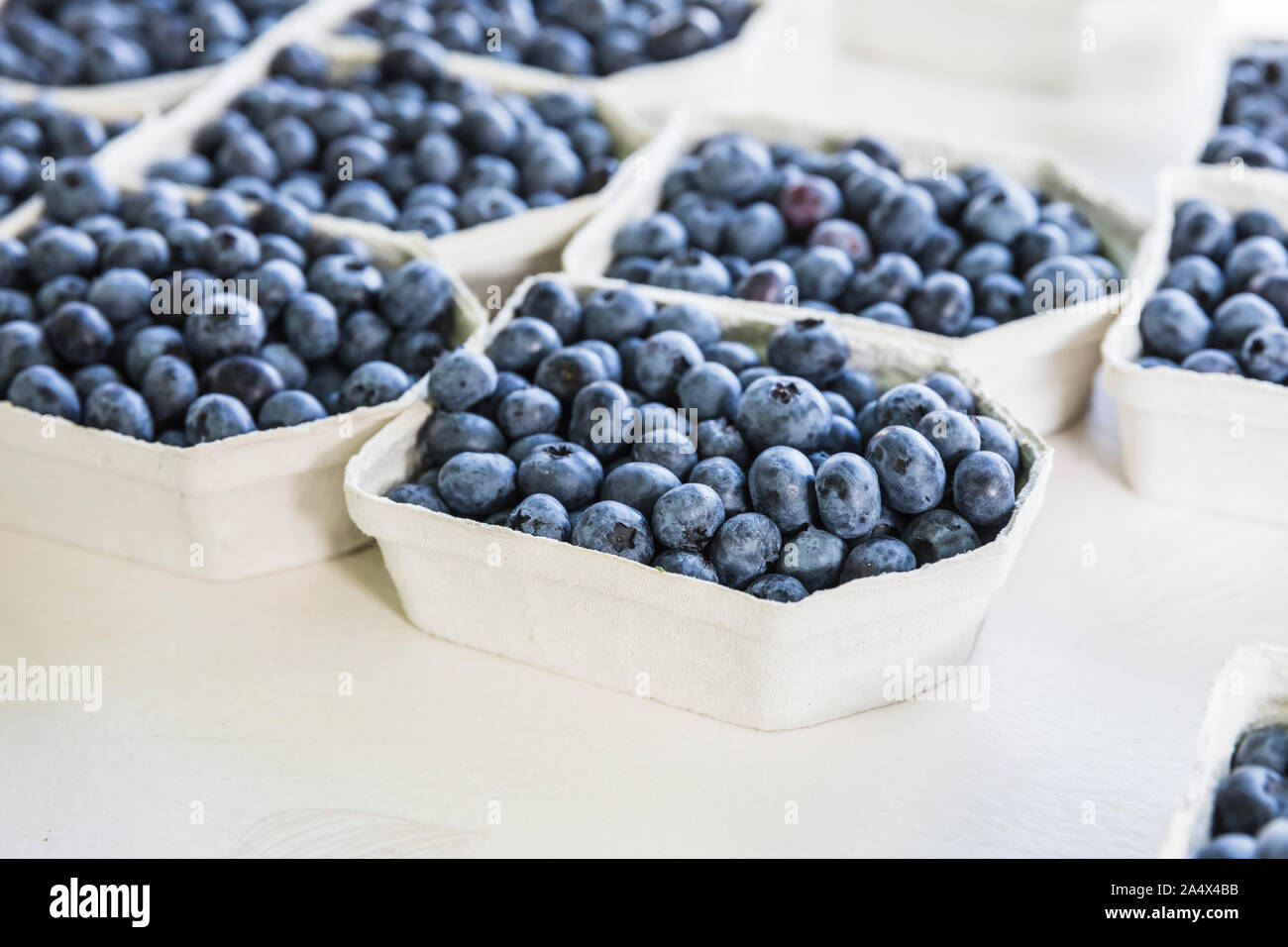 Fresh organic blueberries in white cardboard boxes on display with a ...