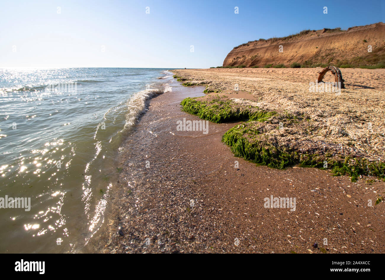 The landscape on the huge beach Stock Photo - Alamy