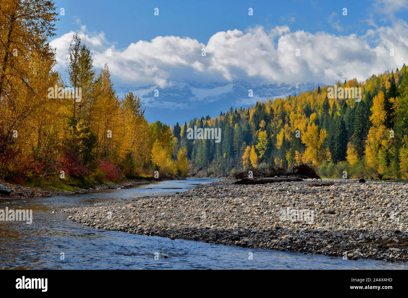 Fall colour, Elk River, Fernie, British Columbia, Canada Stock Photo ...