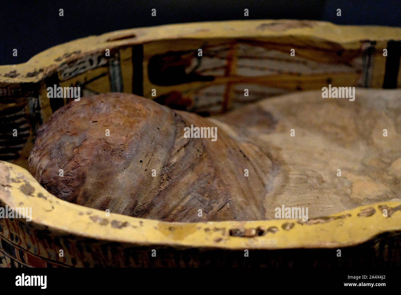 Found during archaeological excavations, the ancient embalmed Egyptian ...