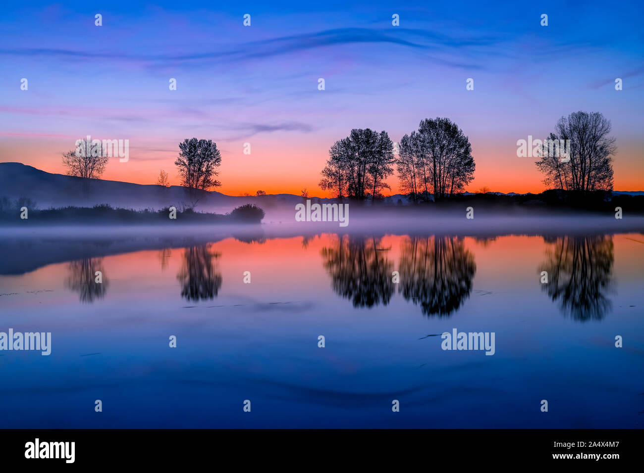 Pre dawn light, Alouette River, Pitt Meadows, British Columbia, Canada ...