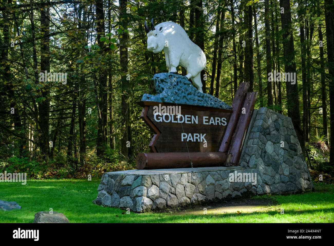 Golden goat sign hi-res stock photography and images - Alamy