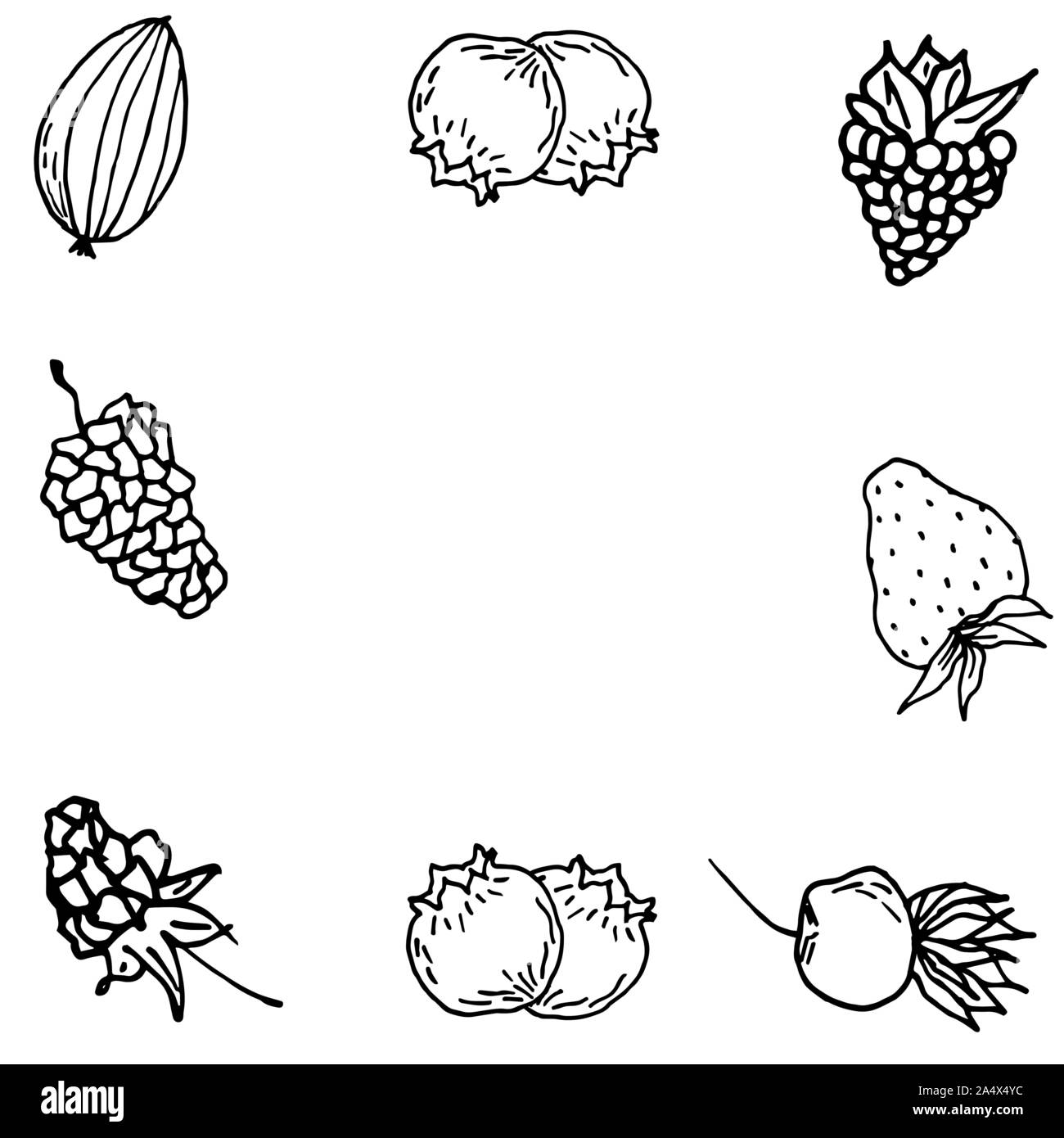 Berry color hand drawn vector set. Fruit botany illustration. Berries ...
