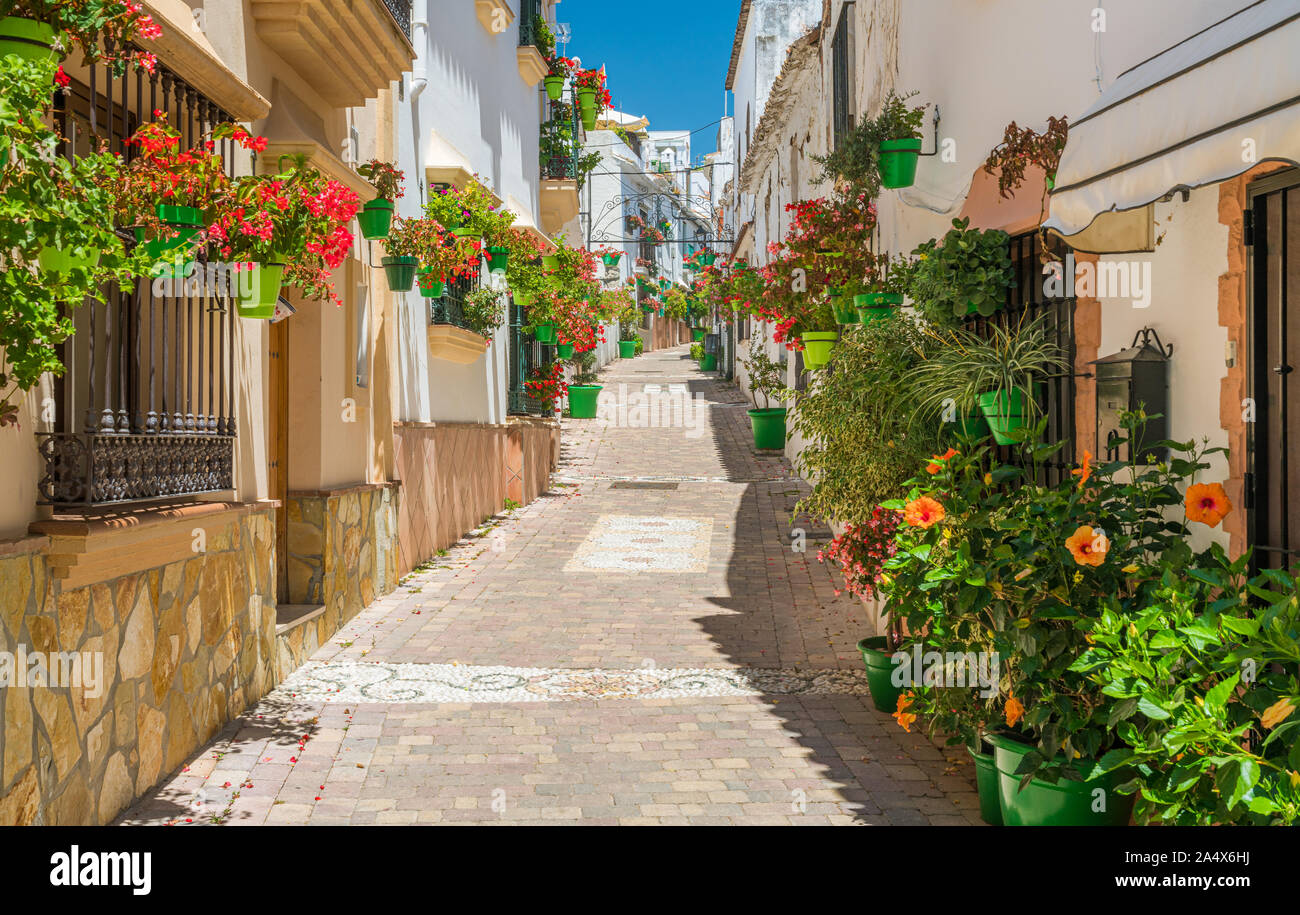 The beautiful Estepona, little and flowery town in the province of ...