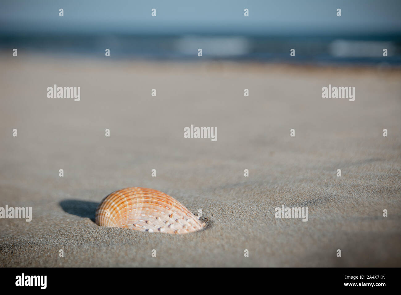 Matte film look hi-res stock photography and images - Alamy
