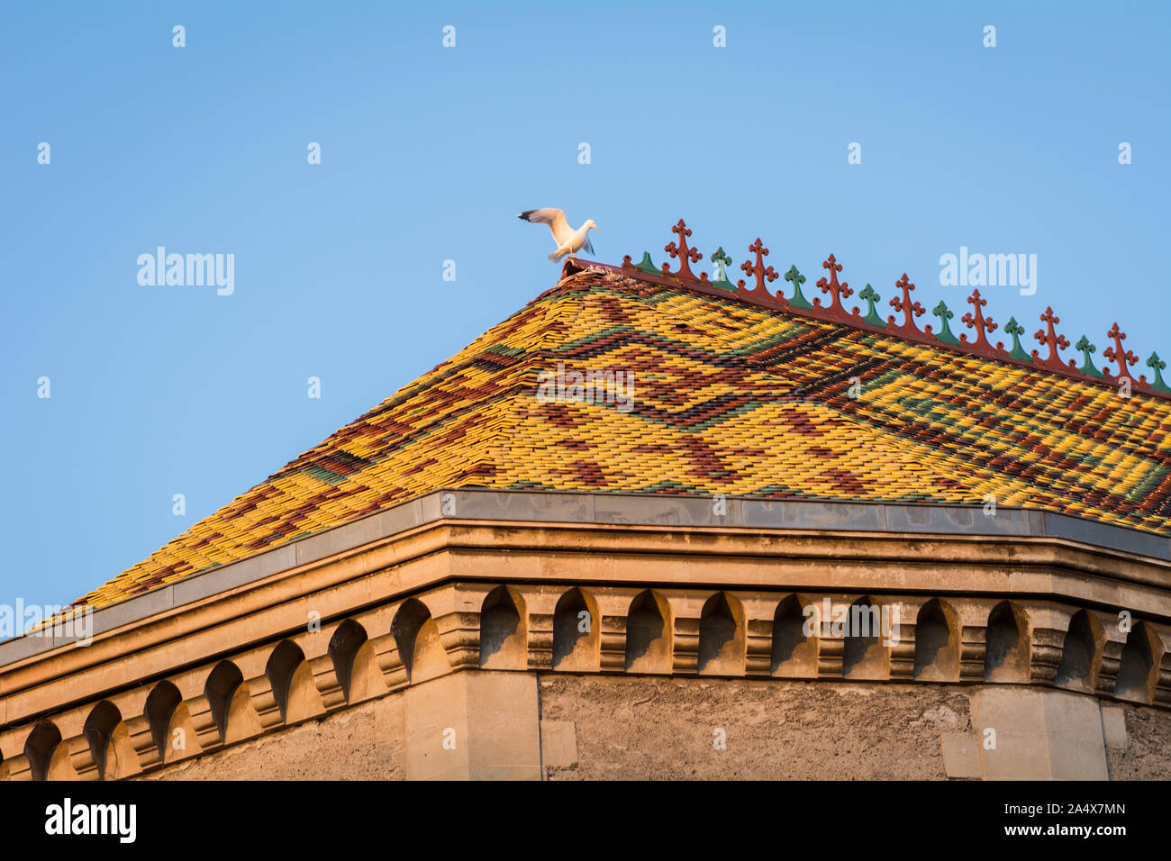 Bird patterns in the sky hi-res stock photography and images - Alamy