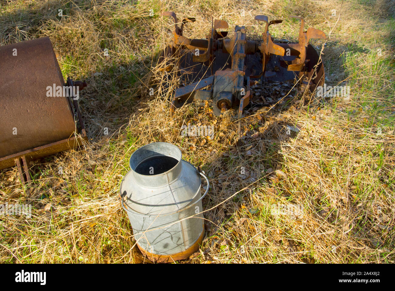 Milk bucket hi-res stock photography and images - Alamy