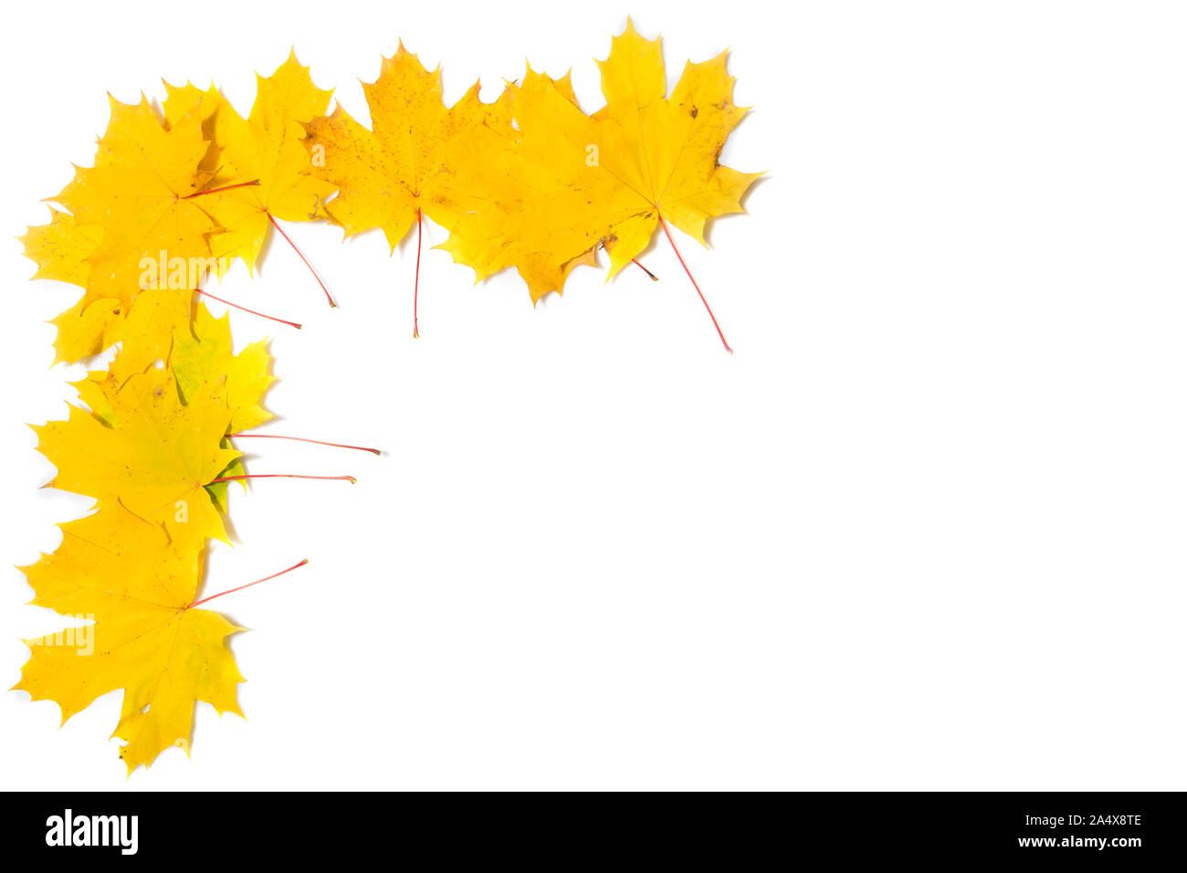 Autumn composition Cut Out Stock Images & Pictures - Alamy