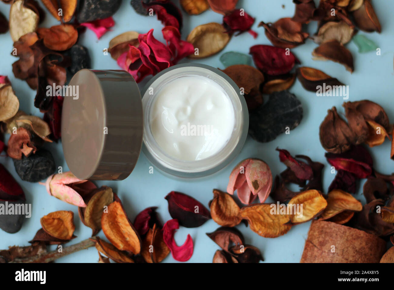 Jar of moisturizer in blue background with dried leaves. Skin-care ...