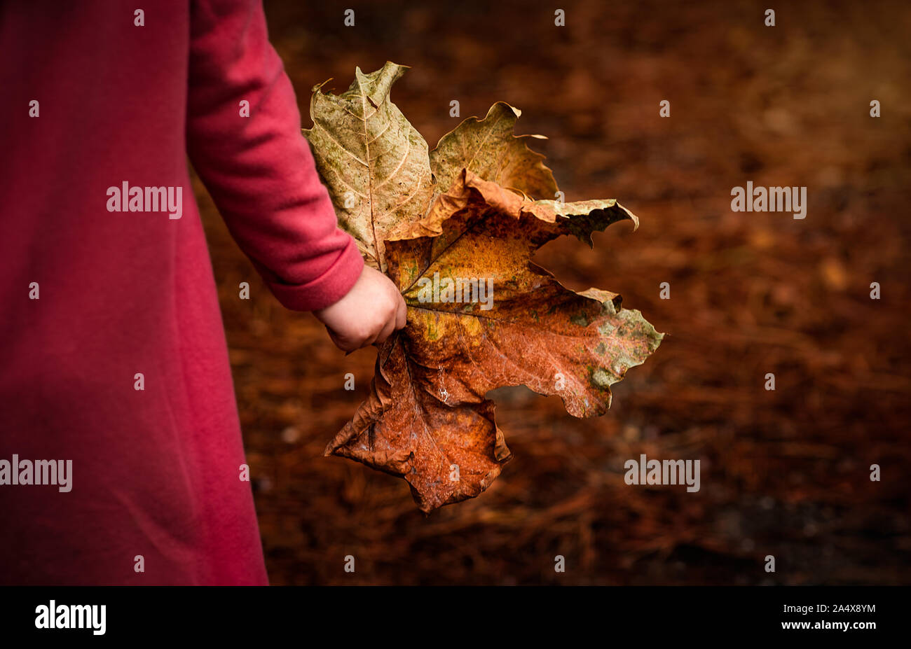 Giant child hi-res stock photography and images - Alamy