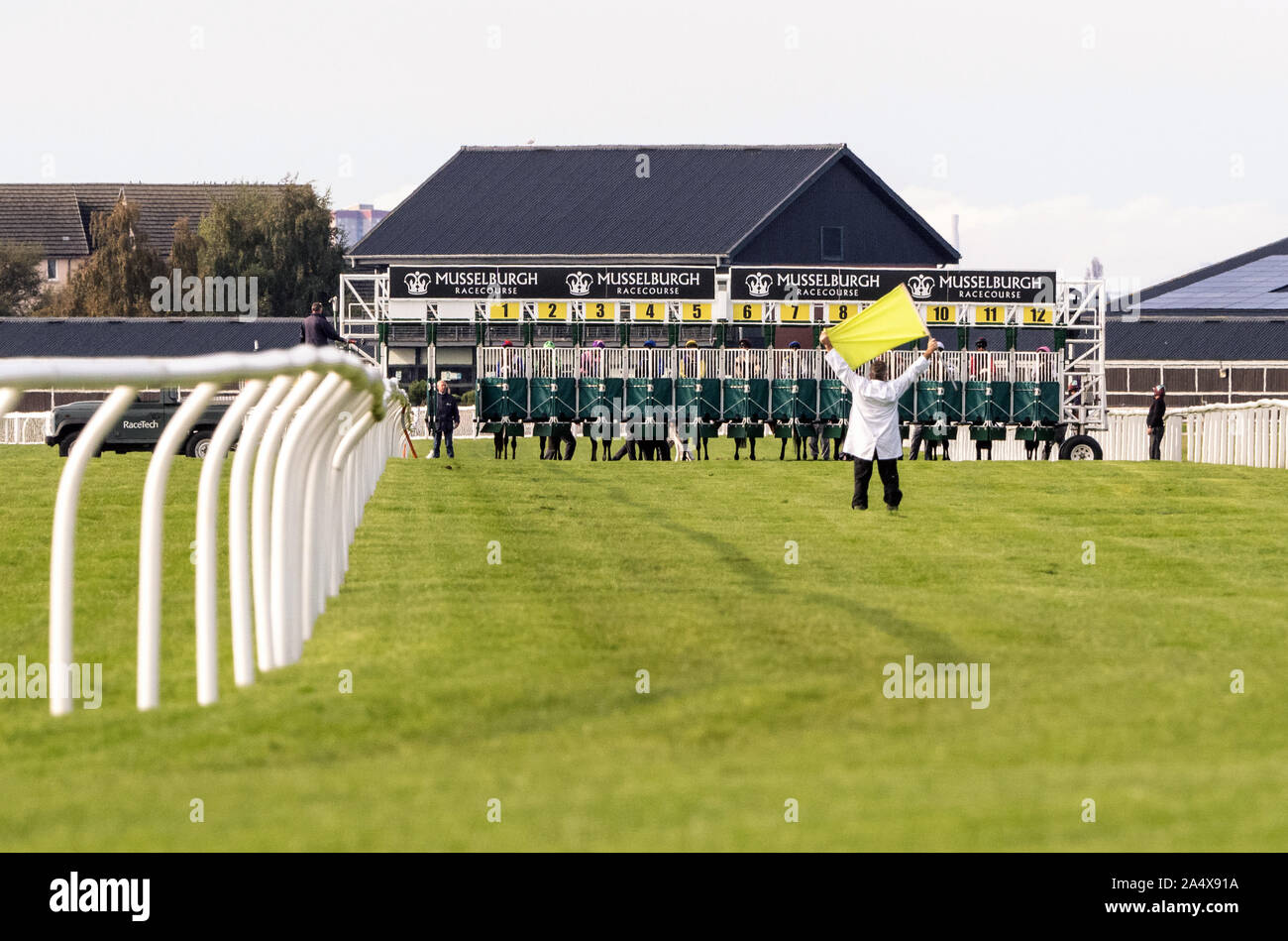 Race Horses in starting stalls before a race Stock Photo - Alamy