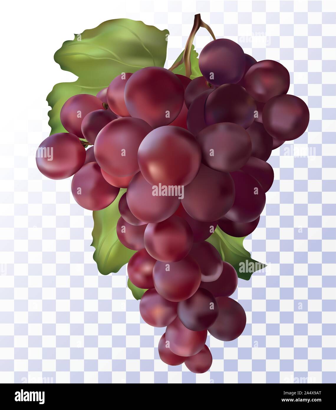 Fresh red grapes on transparent background. 3D realistic grapes.Wine ...