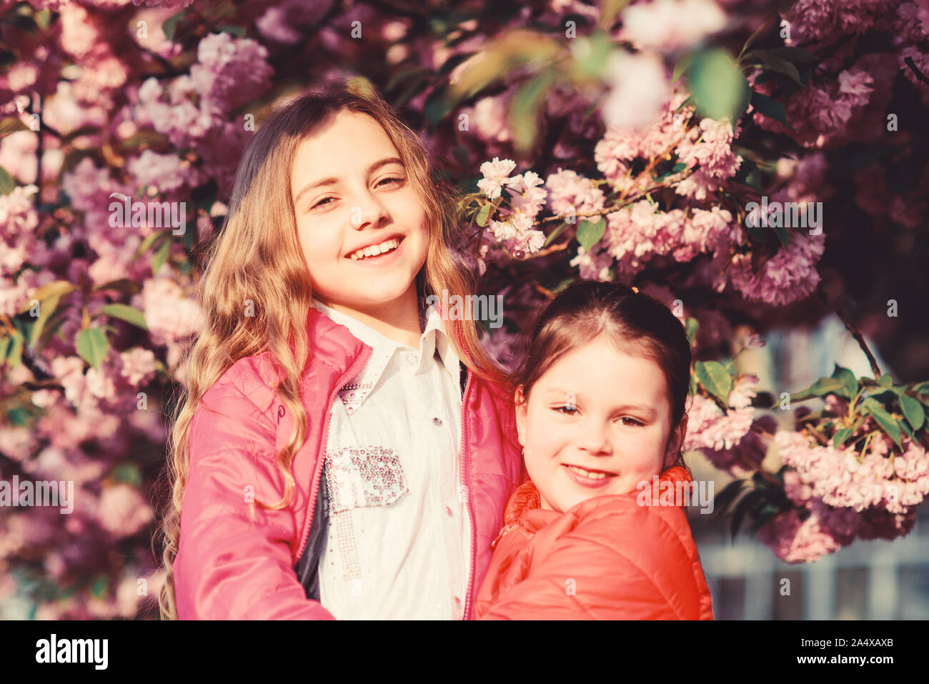 Pink is our favorite. Flowers soft tender bloom. Children enjoy spring ...