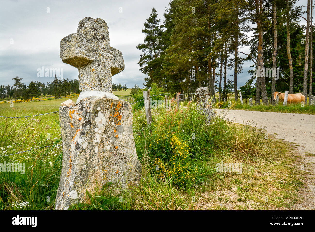 Cross on compostela road hi-res stock photography and images - Alamy