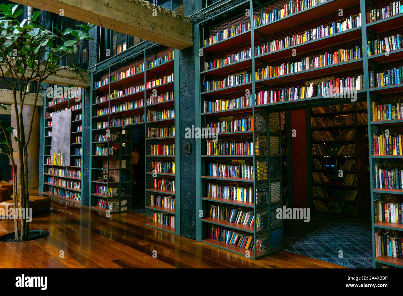 Modern Library Bookshelves