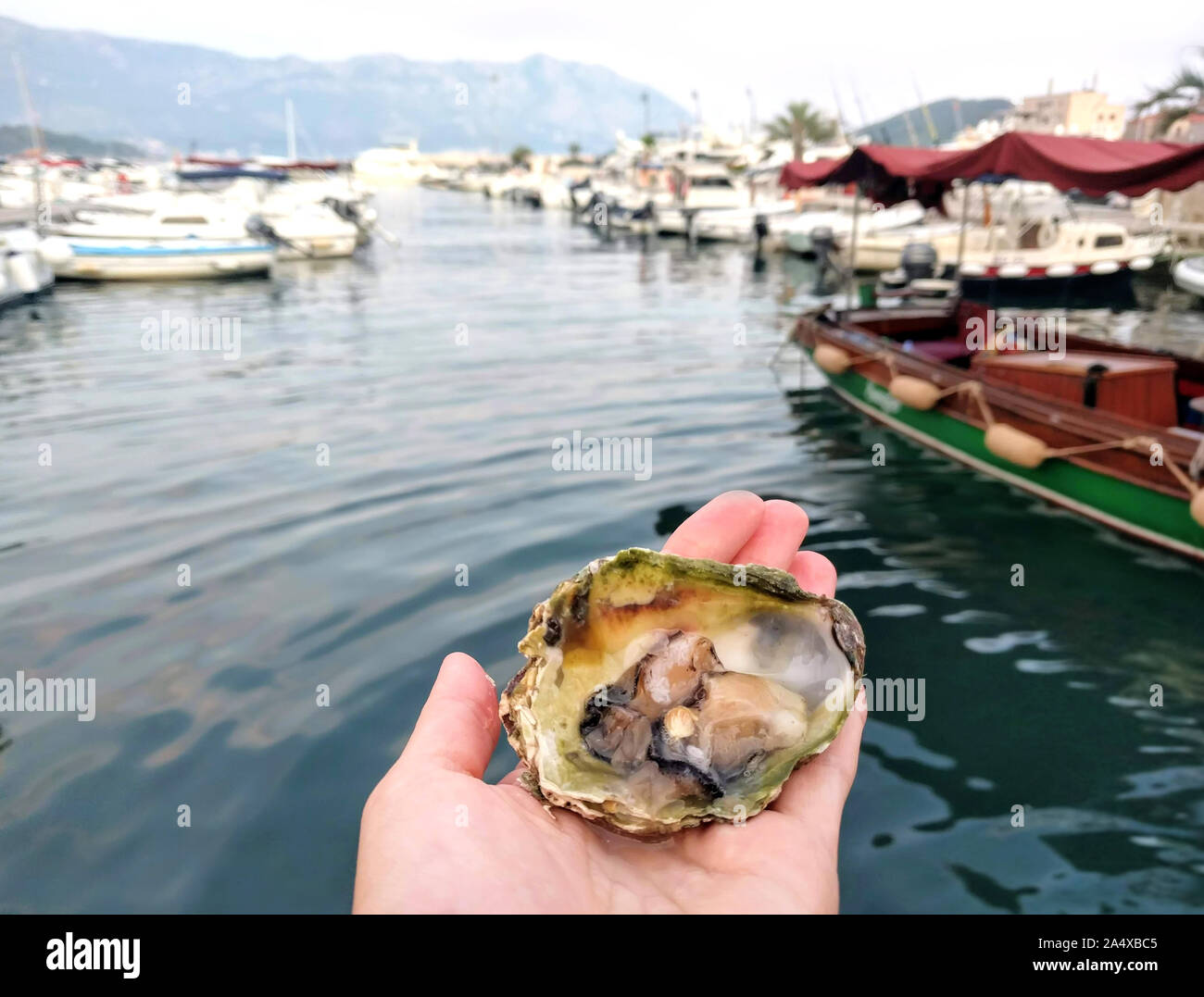 Oyster in the shell hi-res stock photography and images - Alamy