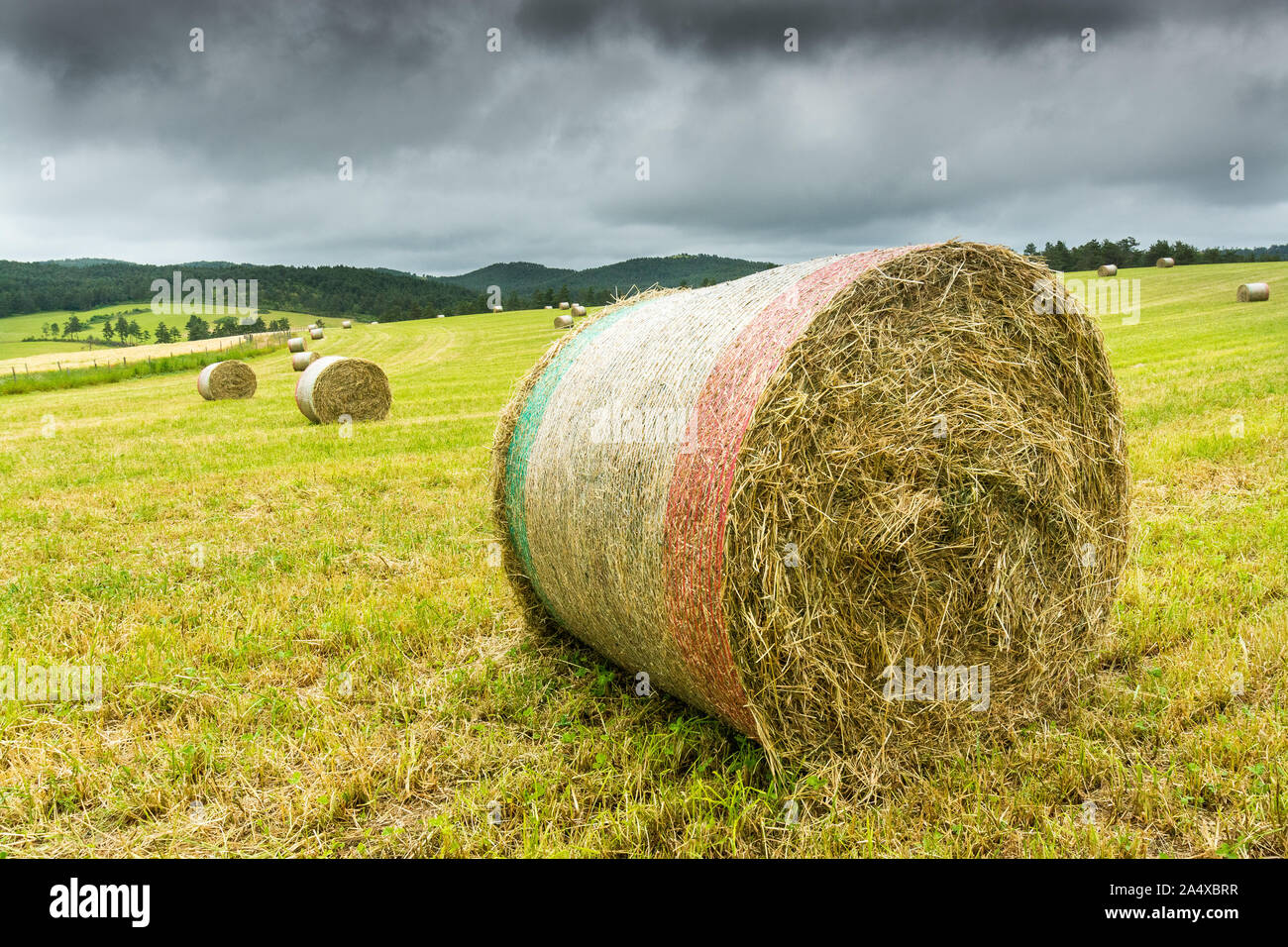 Haystacks in a field hi-res stock photography and images - Alamy