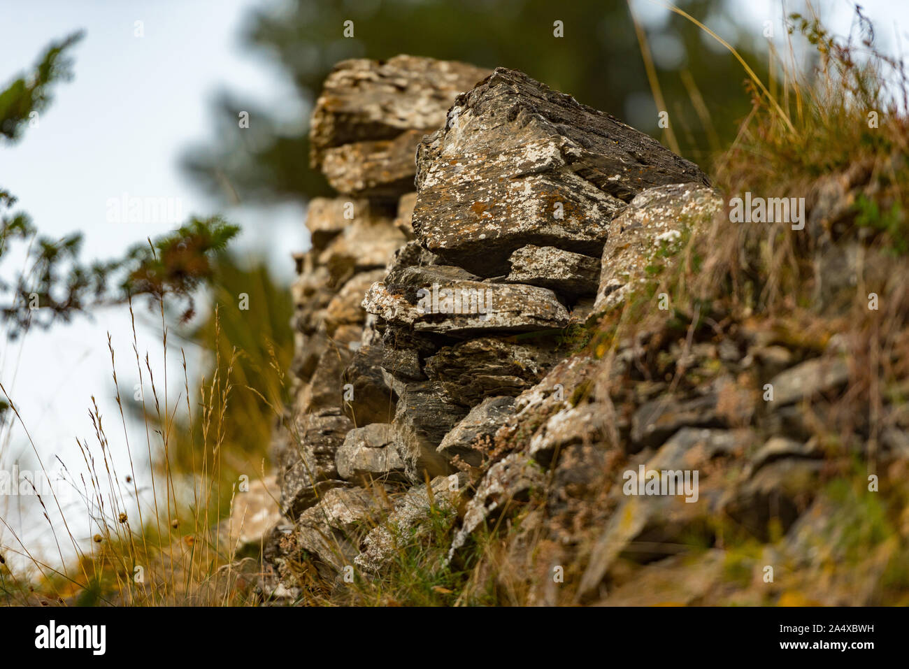The mountain autumn landscape with colorful forest in Andorra Stock ...