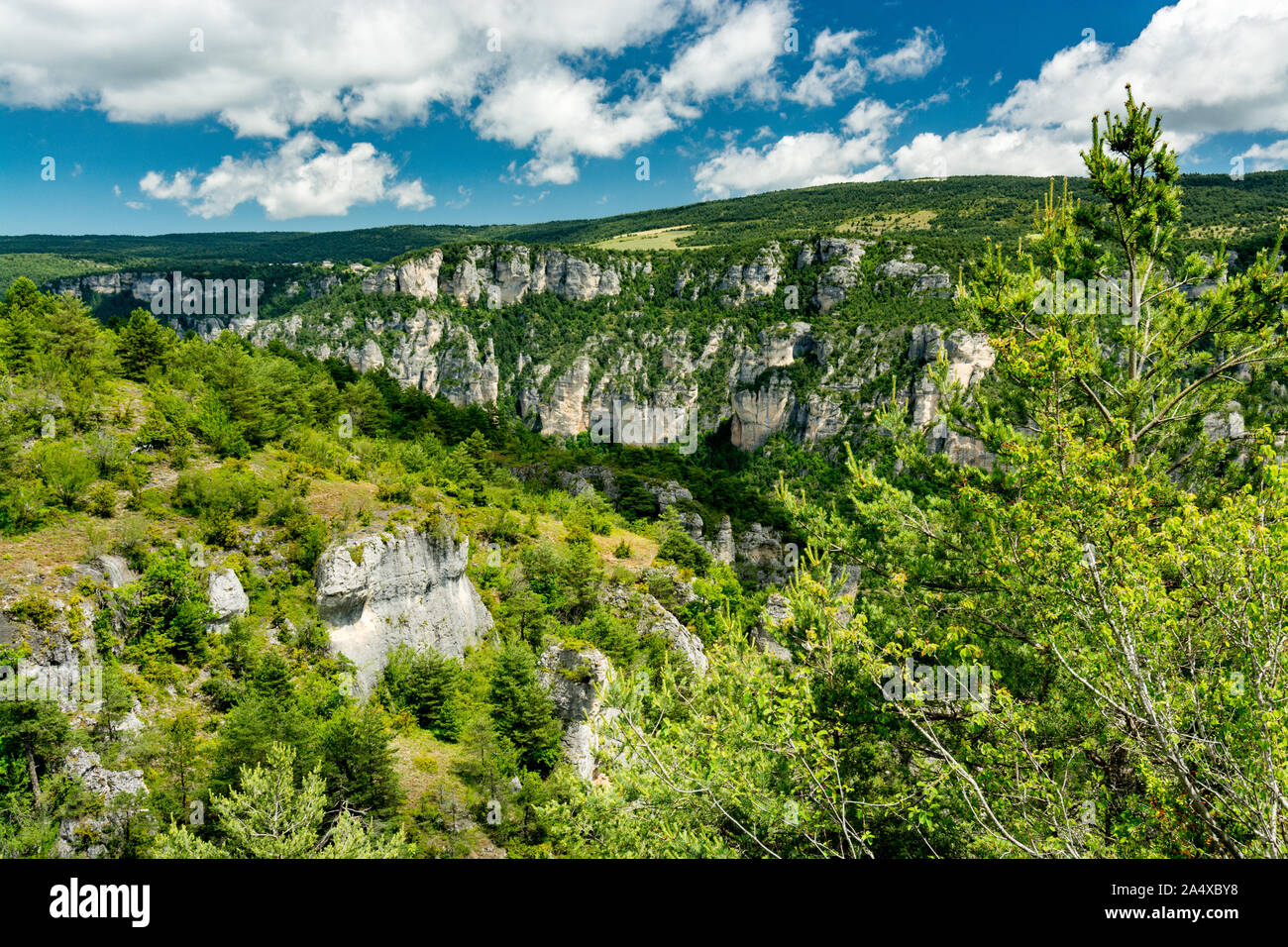 Gorges du tarn hi-res stock photography and images - Alamy