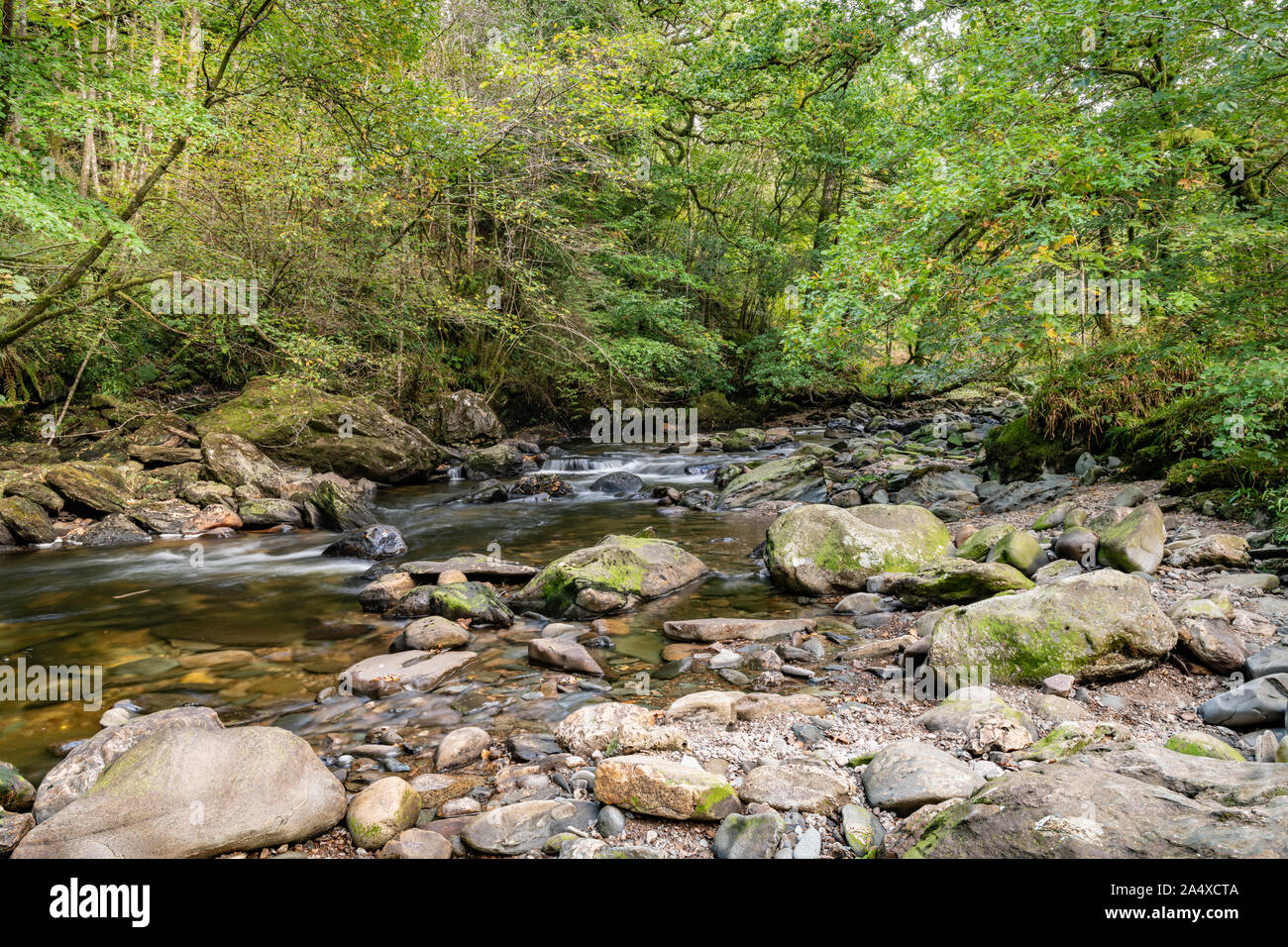 Kinglas Water, Ardkinglas Woodland Garden, Cairndow, Argyll & Bute ...