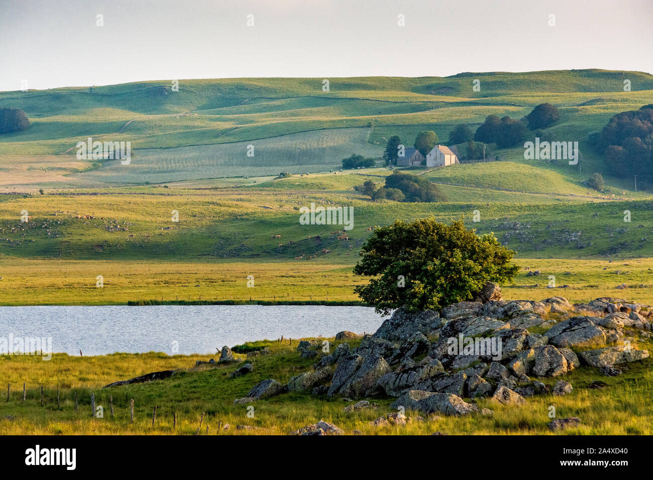 Farm, lake and meadows: a landscape of the Aubrac plateau in France ...