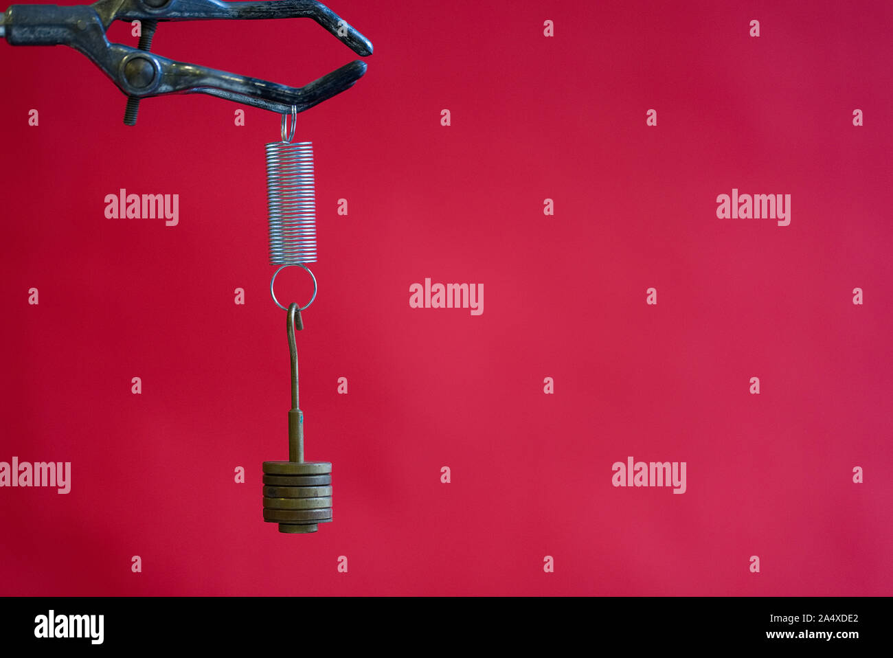 Masses hanging on a stretched spring isolated on a red background ...