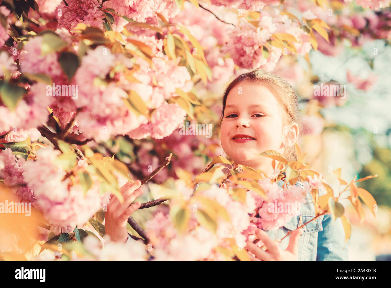 Girl little child in spring flower bloom. Enjoy smell of tender bloom ...
