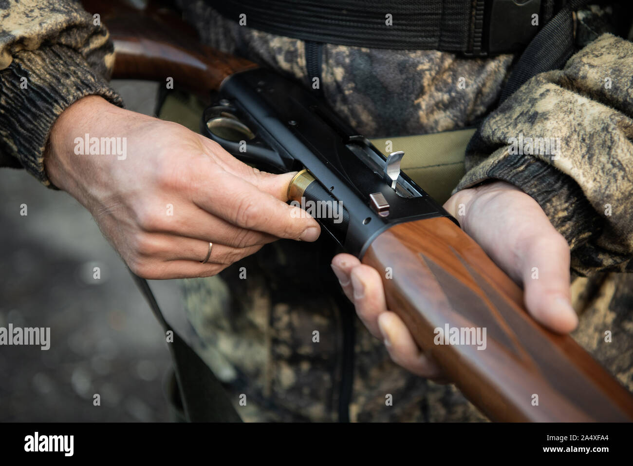 Close-up of a hunter hands loading his shotgun Stock Photo - Alamy