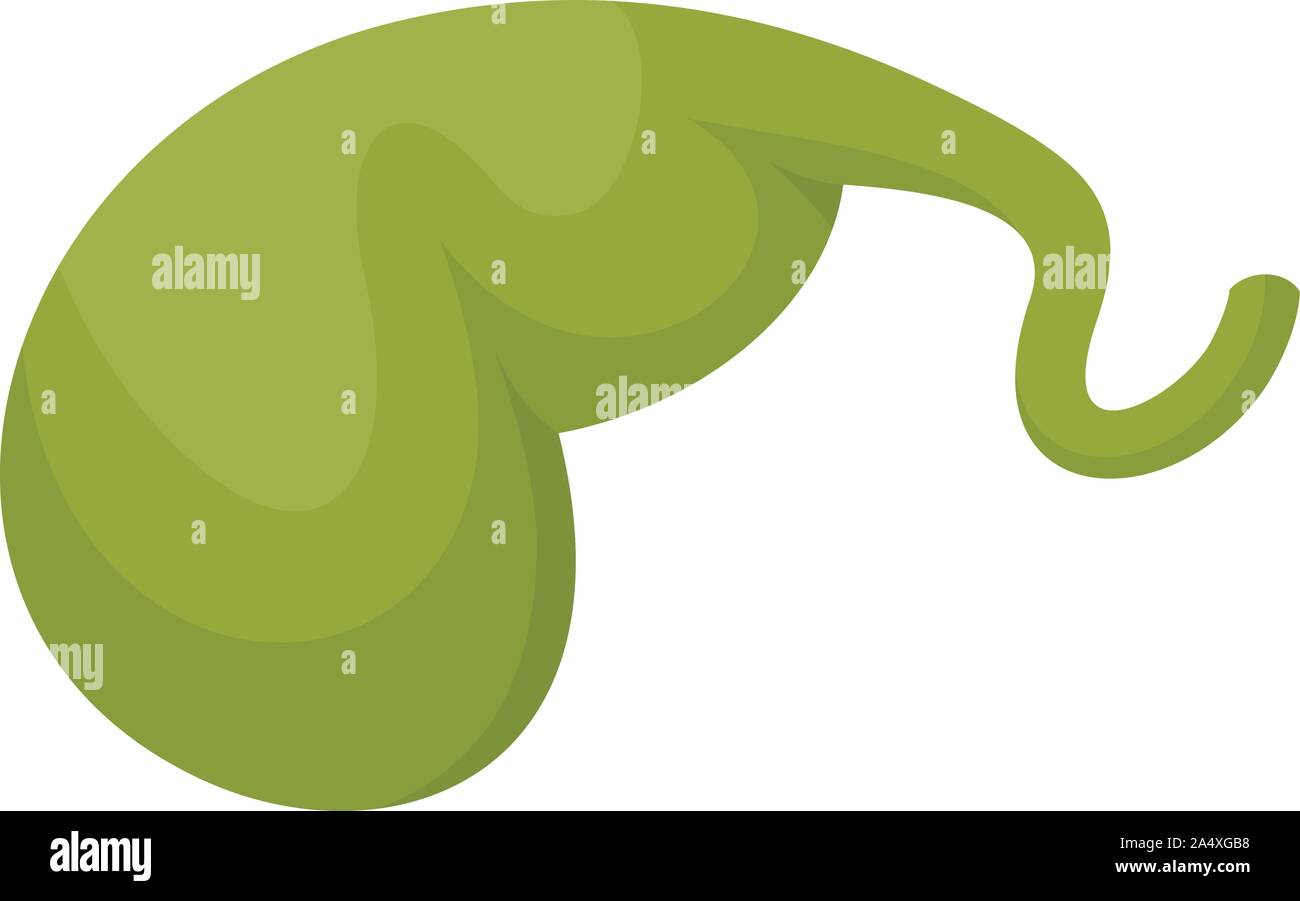 Gallbladder icon. Flat illustration of gallbladder vector icon for web ...
