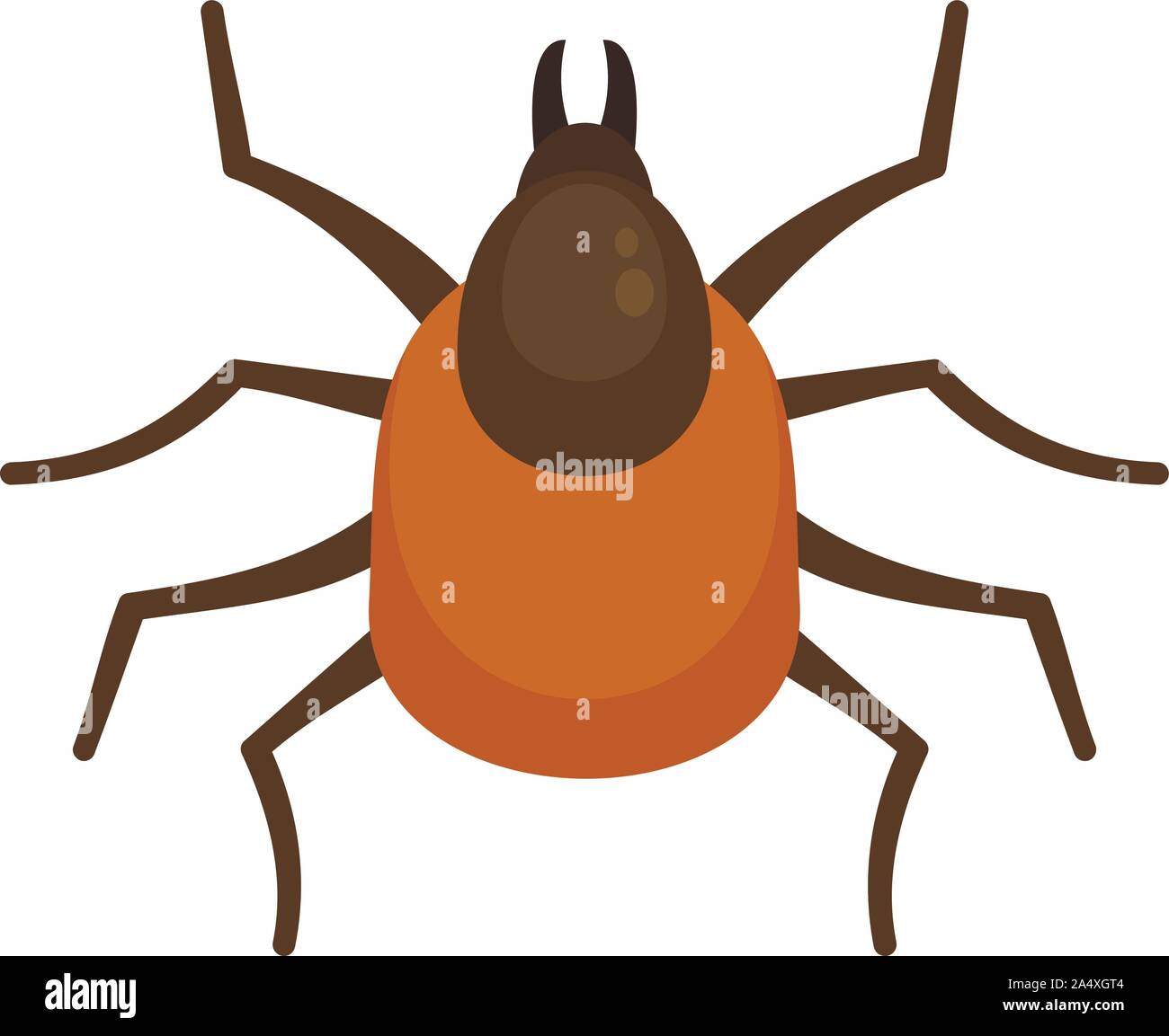 Mite icon. Flat illustration of mite vector icon for web design Stock ...