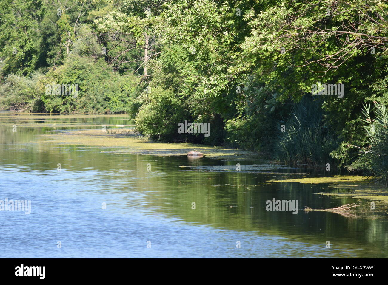 River of ponds lake hi-res stock photography and images - Alamy
