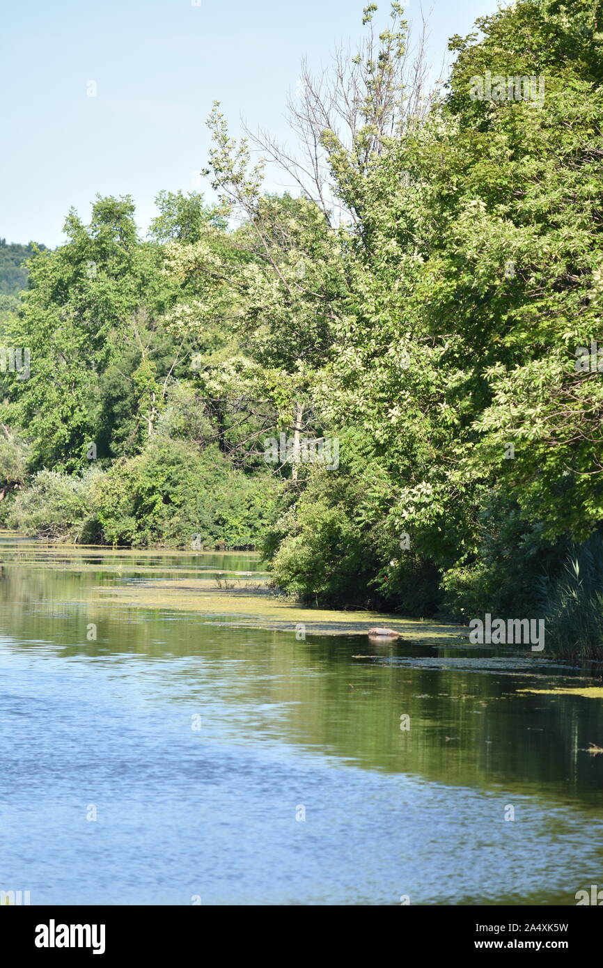 River Water Lake Trees Stock Photo - Alamy