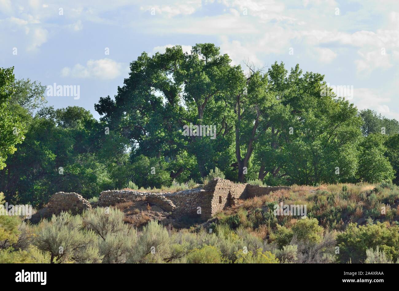 Unexcavated Aztec East, Aztec Ruins National Monument, Aztec, NM 190911 ...
