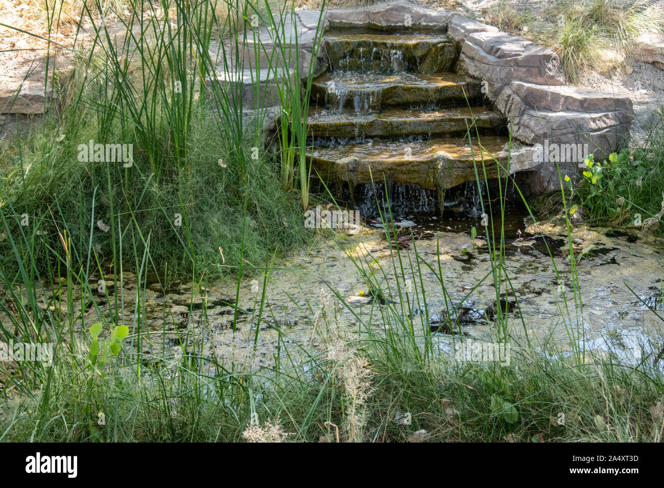 Small waterfall at a desert spring Stock Photo - Alamy