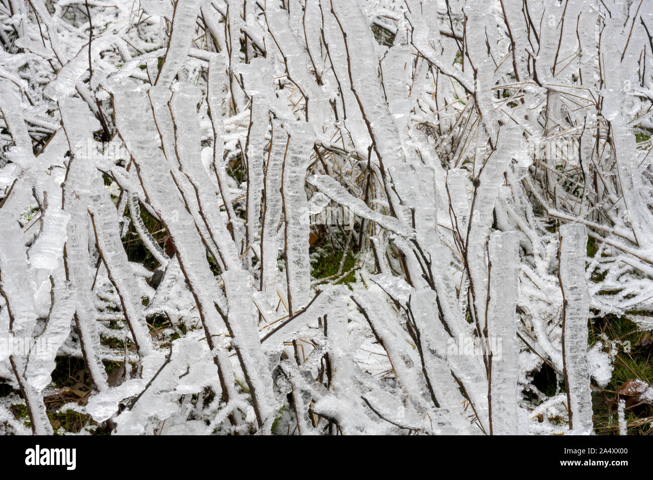 Ice build up hi-res stock photography and images - Alamy