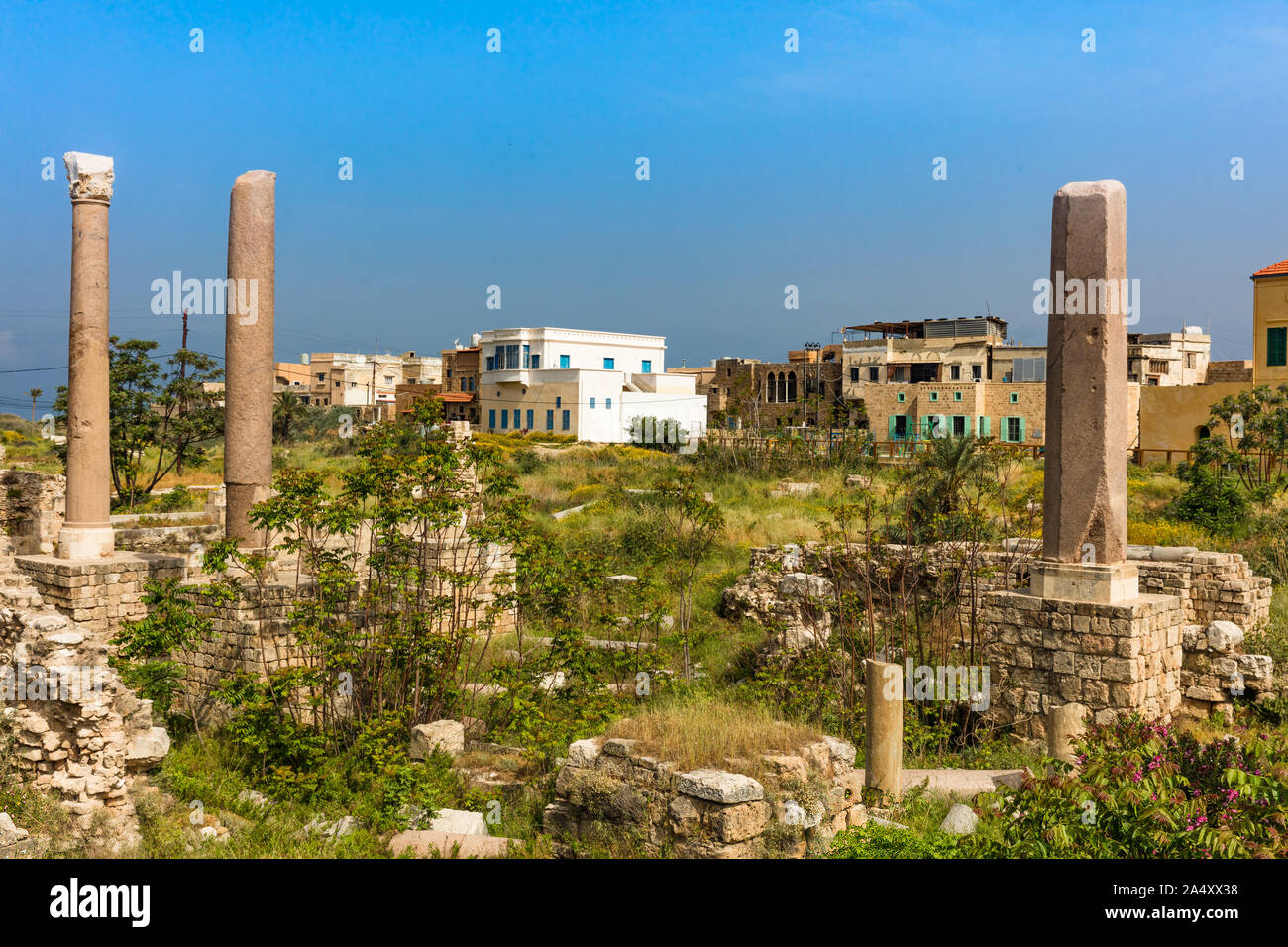 romans ruins Tyre Sur in South Lebanon Middle east Stock Photo - Alamy