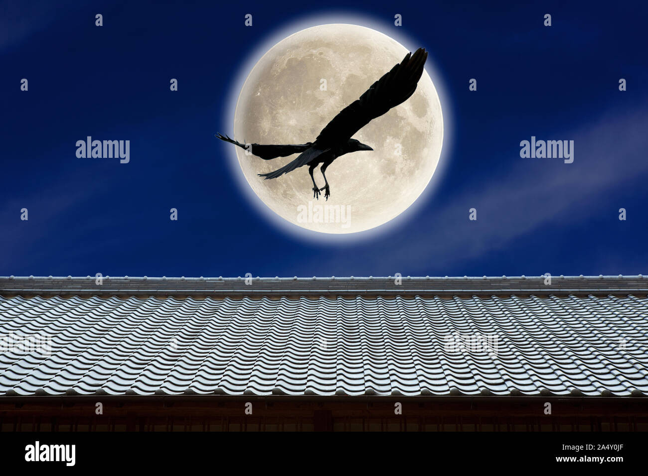 Full moon and a crow Stock Photo - Alamy