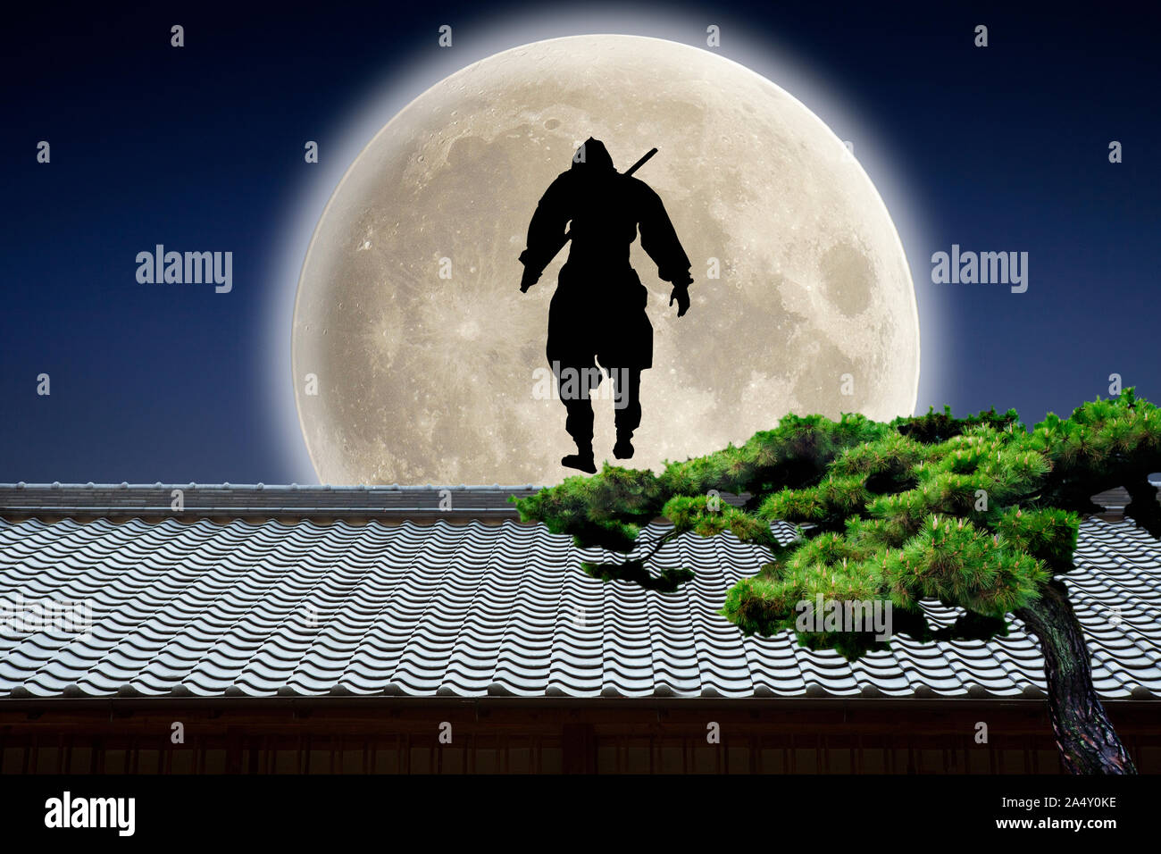 Shadow ninja hi-res stock photography and images - Alamy