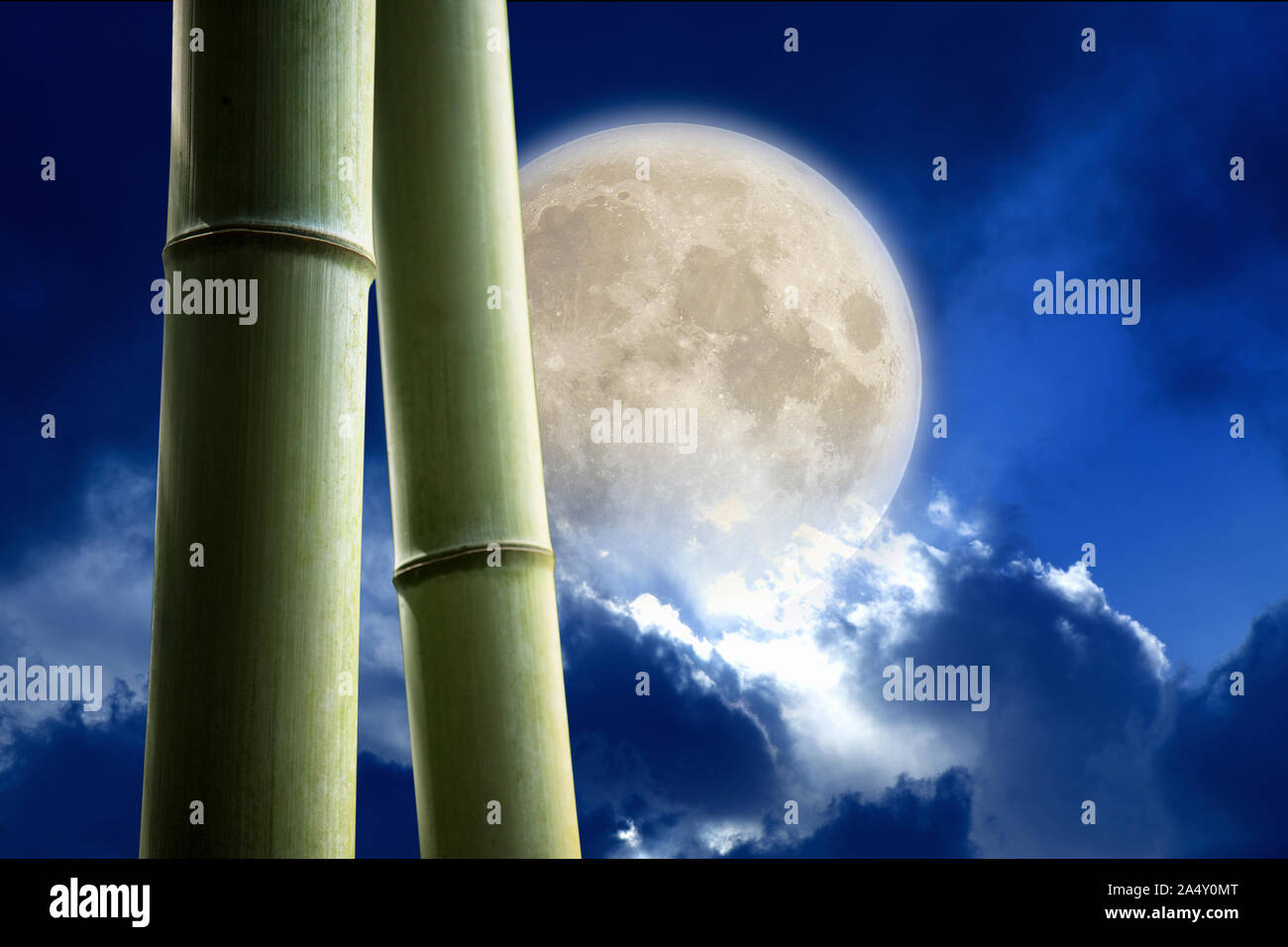 Bamboo and full moon Stock Photo - Alamy