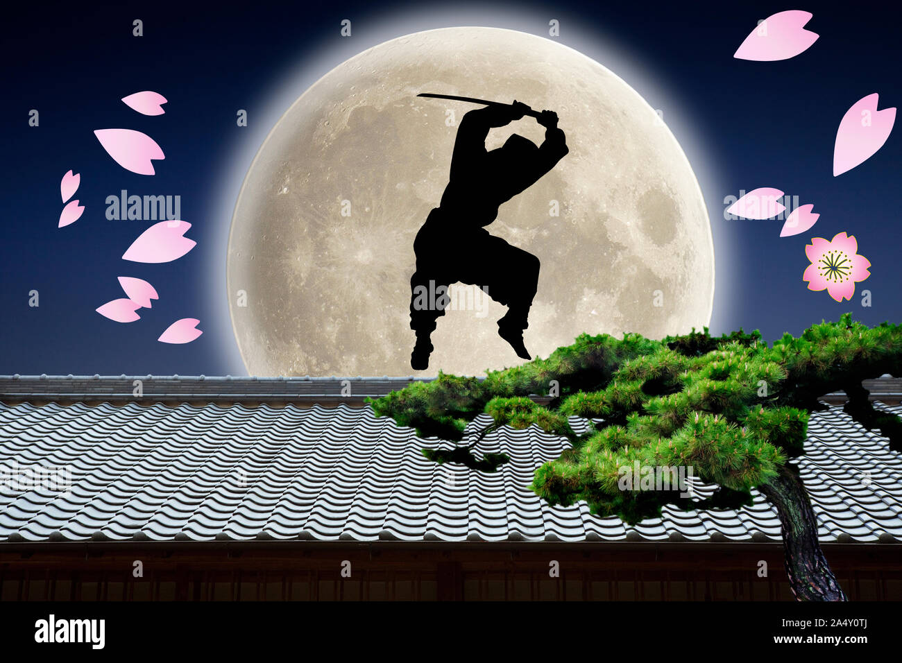 Tree ninja hi-res stock photography and images - Alamy