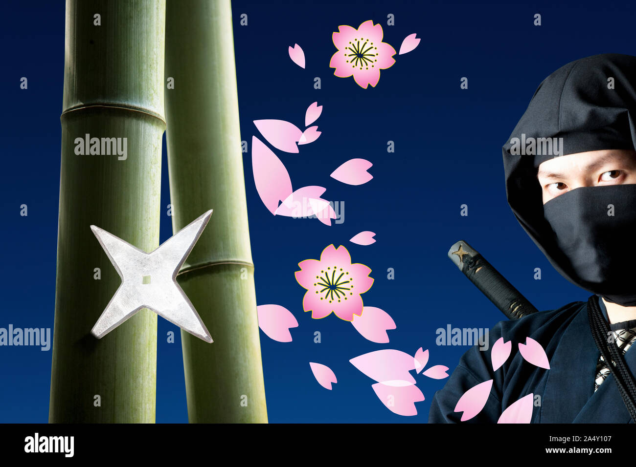 Ninja flower hi-res stock photography and images - Alamy