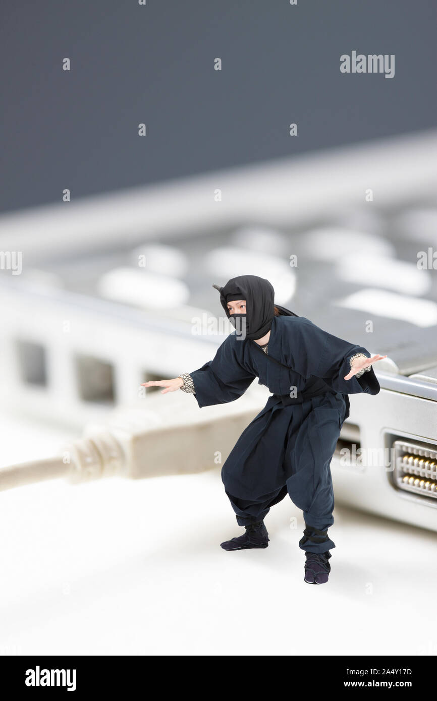 Ninja and laptop computer Stock Photo - Alamy