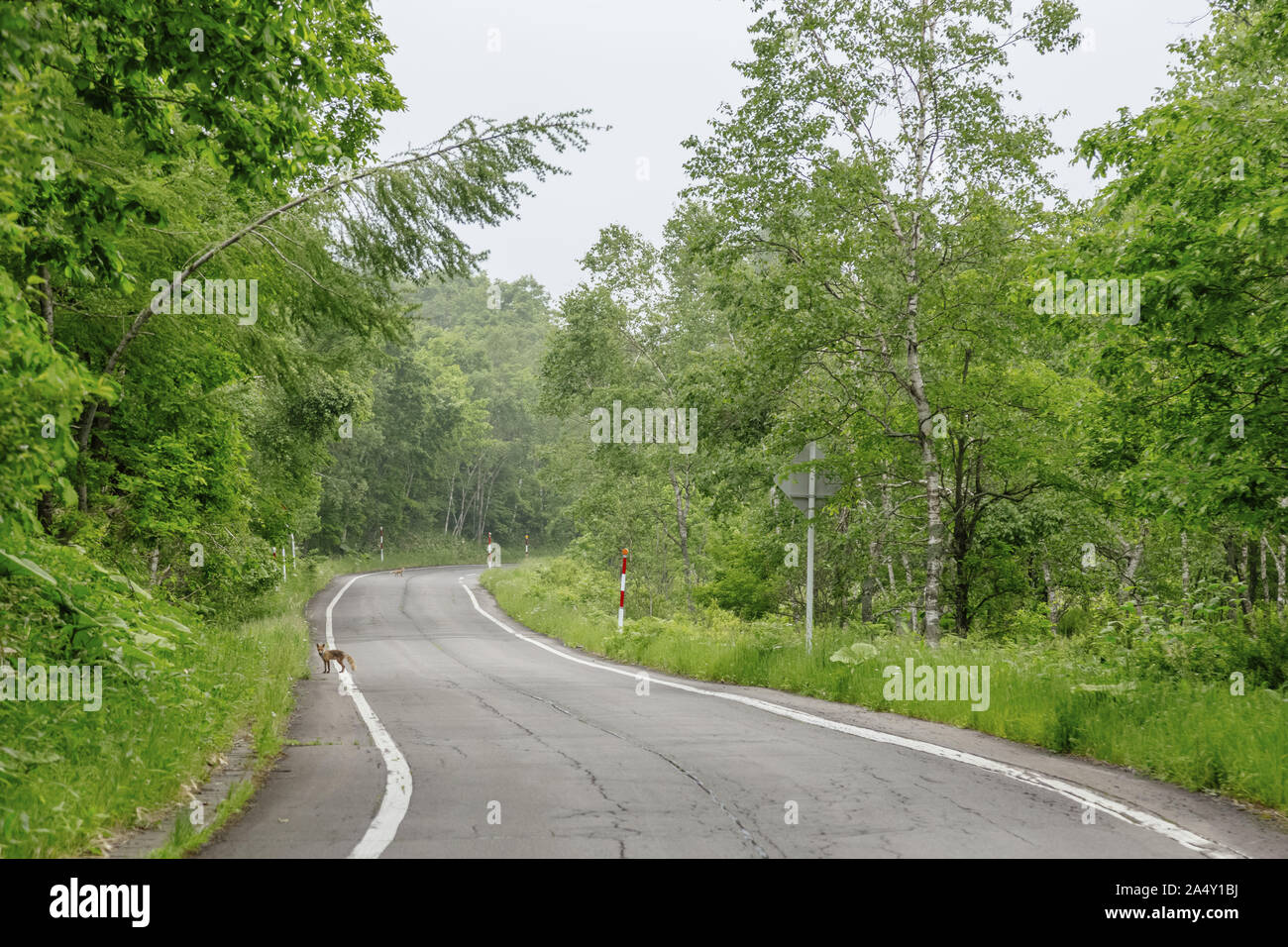 Hokkaido japan horizontal rural road hi-res stock photography and ...