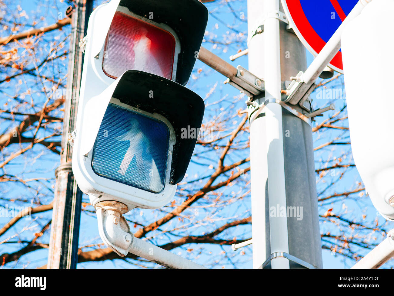 Street traffic light at pedestrain crossing sign with leafless tree ...