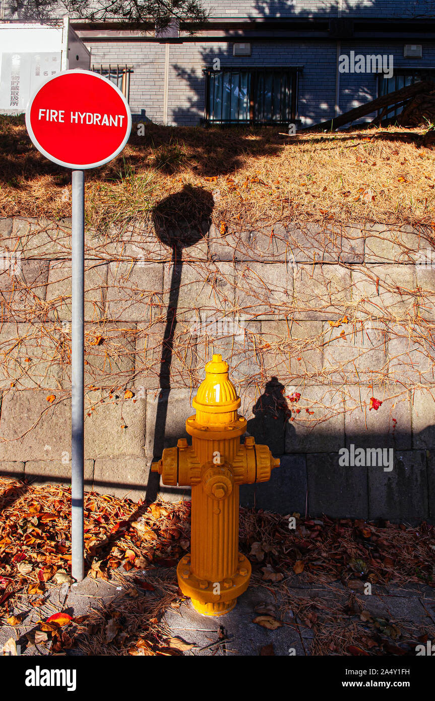 Yellow fire hydrant water hose with red sign under sunlight on sidewalk ...