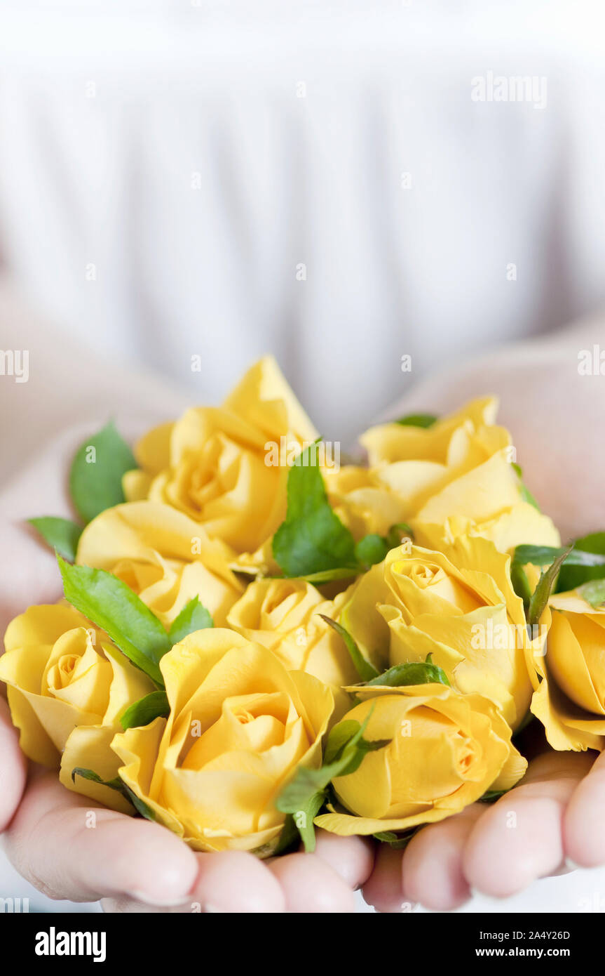 With her hands full roses hi-res stock photography and images - Alamy